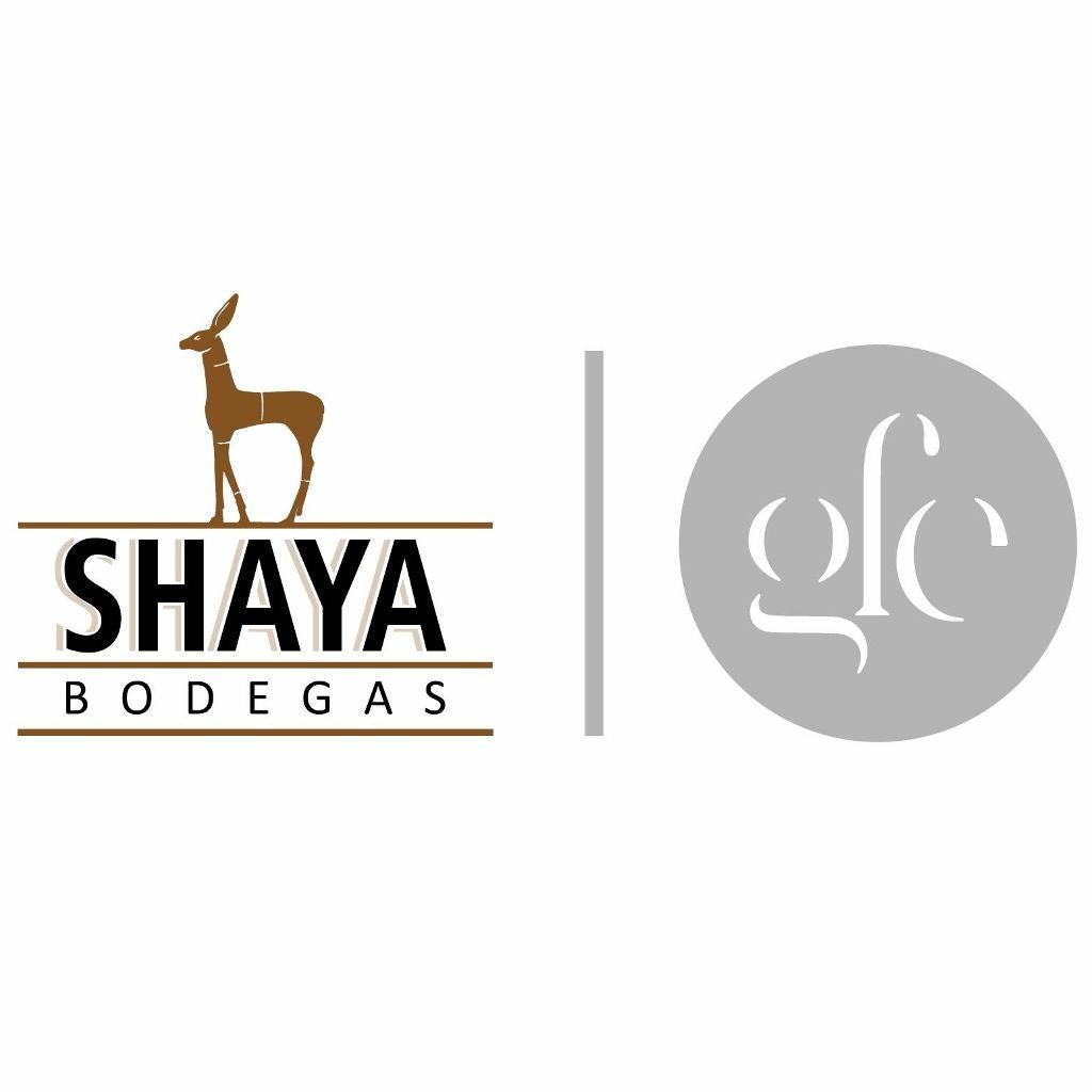 Shaya - moderne Verdejo
